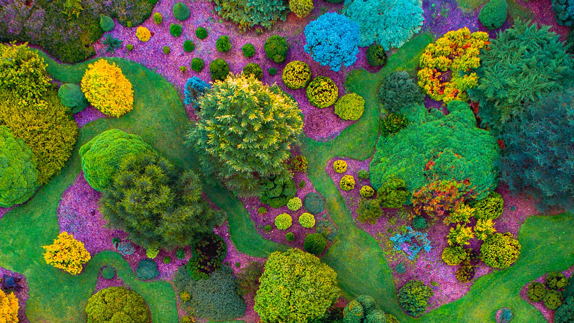 App Information | SA Parks