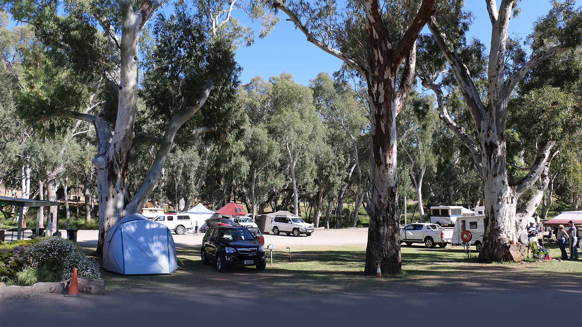 Constitution | SA Parks